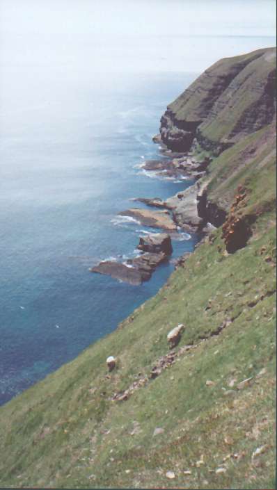 John's Newfoundland Photo Gallery